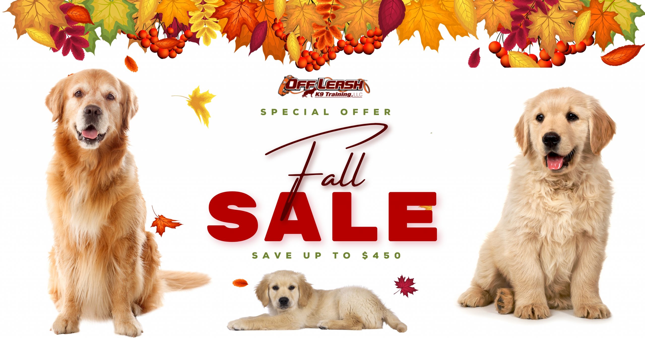 🍂 Fall Sale – Save $450 on Dog Training! 🍂